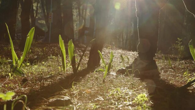 Ruthless Images – Browse 3,994 Stock Photos, Vectors, and Video | Adobe ...