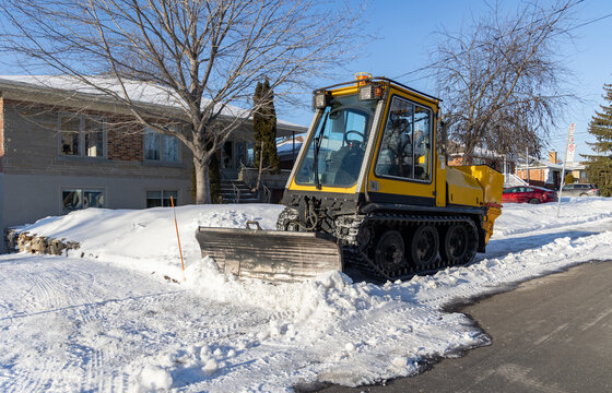 Chenillette Images – Browse 47 Stock Photos, Vectors, and Video | Adobe ...