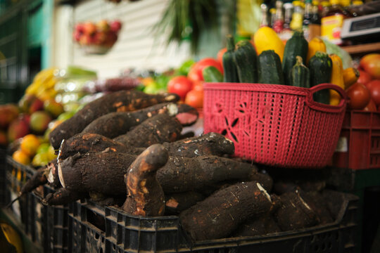 Kassava Bilder – Durchsuchen 22,284 Archivfotos, Vektorgrafiken und ...