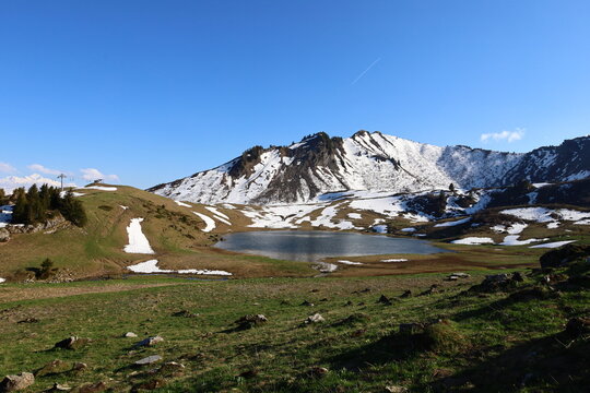 รูปภาพPraz – เลือกดูภาพถ่ายสต็อก เวกเตอร์ และวิดีโอ395 | Adobe Stock