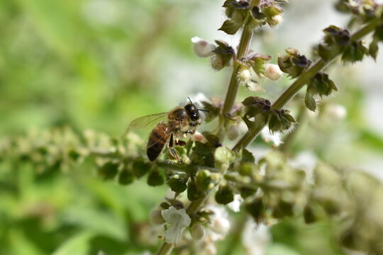 Zangano Images – Browse 50 Stock Photos, Vectors, and Video | Adobe Stock