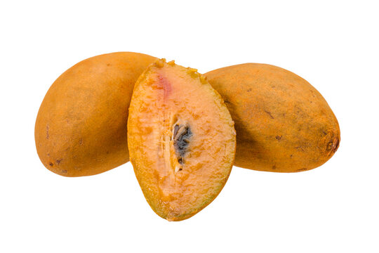 รูปภาพCiku – เลือกดูภาพถ่ายสต็อก เวกเตอร์ และวิดีโอ280 | Adobe Stock