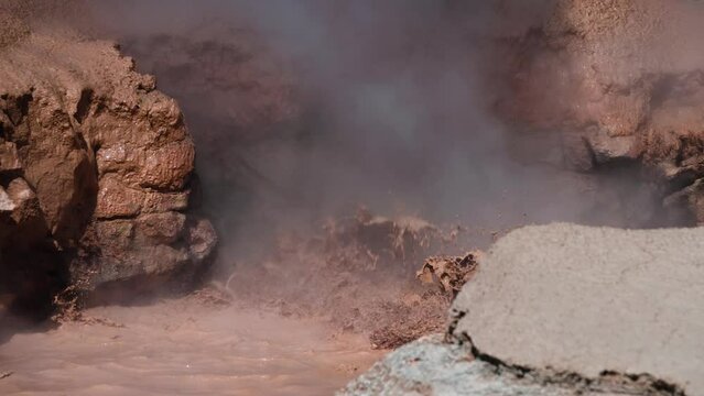 Thermophiles Images – Browse 3,186 Stock Photos, Vectors, and Video ...