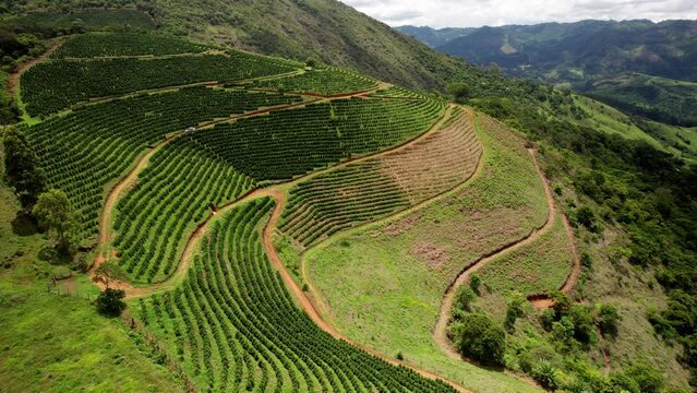 รูปภาพ"Coffee Field" – เลือกดูภาพถ่ายสต็อก เวกเตอร์ และวิดีโอ200 ...
