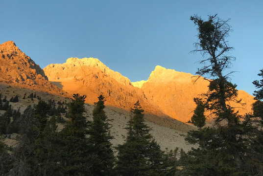 Emli Images – Browse 47 Stock Photos, Vectors, and Video | Adobe Stock