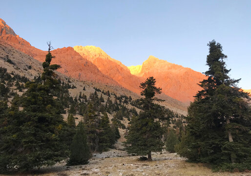 Emli Images – Browse 47 Stock Photos, Vectors, and Video | Adobe Stock