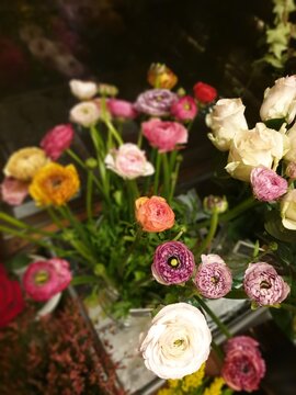 Jaskry Images – Browse 51 Stock Photos, Vectors, and Video | Adobe Stock