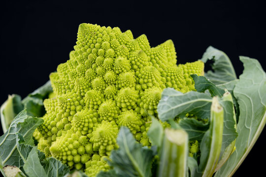 Romanescu Bilder – Durchsuchen 409 Archivfotos, Vektorgrafiken und ...