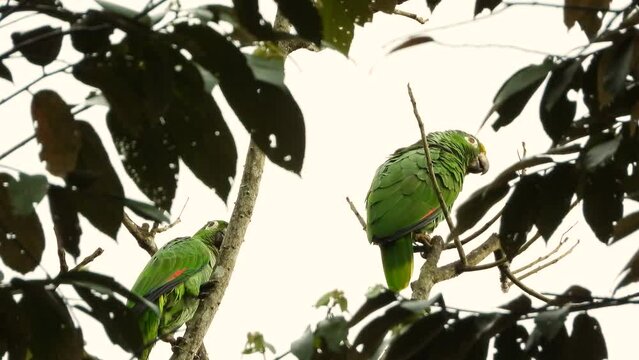 「Lore」の画像 - 5,072 件の Stock 写真、ベクターおよびビデオ | Adobe Stock