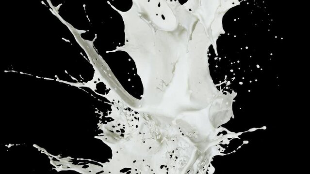 Splash Cream Images – Browse 113,245 Stock Photos, Vectors, and Video ...