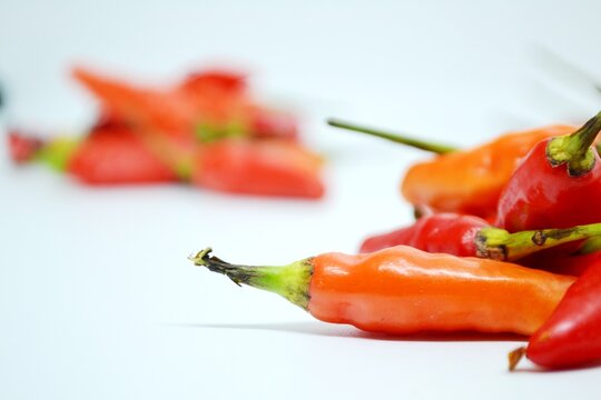 Capsin Bilder – Durchsuchen 25,778 Archivfotos, Vektorgrafiken und ...