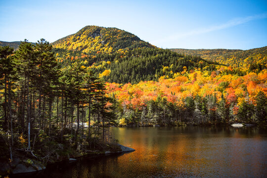 รูปภาพ"Kancamagus Highway" – เลือกดูภาพถ่ายสต็อก เวกเตอร์ และวิดีโอ450 ...