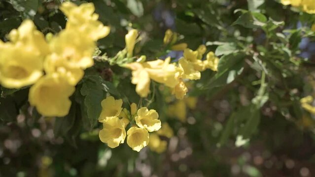 Brotar Images – Browse 16,489 Stock Photos, Vectors, and Video | Adobe ...