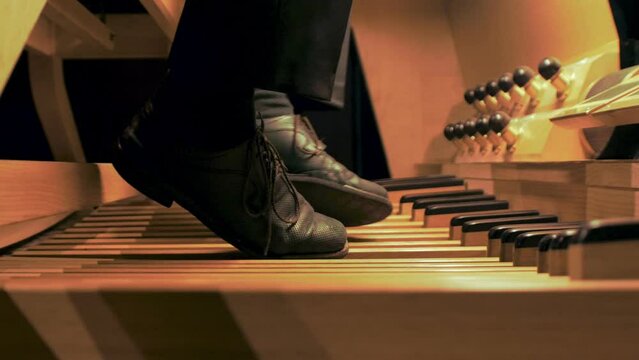 Obrazy (Pedalboard) — zdjęcia, wektory i wideo bez tantiem (292 ...