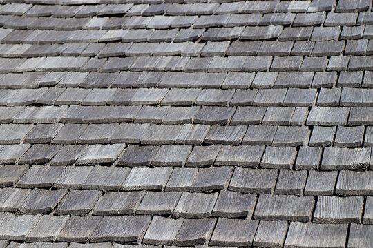 รูปภาพPantile – เลือกดูภาพถ่ายสต็อก เวกเตอร์ และวิดีโอ1,267 | Adobe Stock