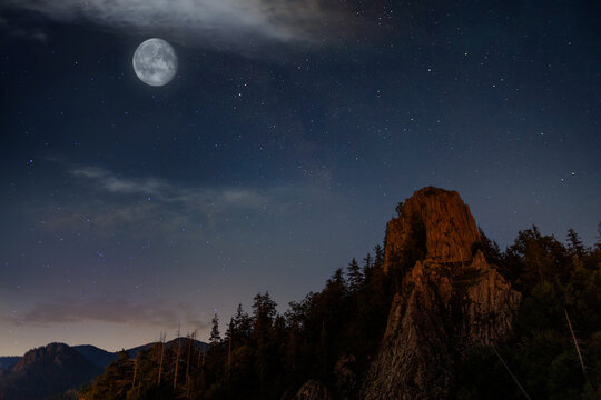 รูปภาพ"From Below" – เลือกดูภาพถ่ายสต็อก เวกเตอร์ และวิดีโอ33,192 ...