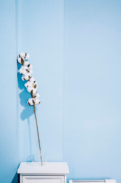 Baumwollanbau Bilder – Durchsuchen 1,786,860 Archivfotos ...