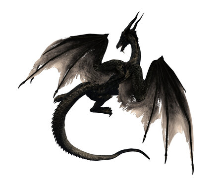 "Fabulous Animal" Images – Browse 16,627 Stock Photos, Vectors, and ...