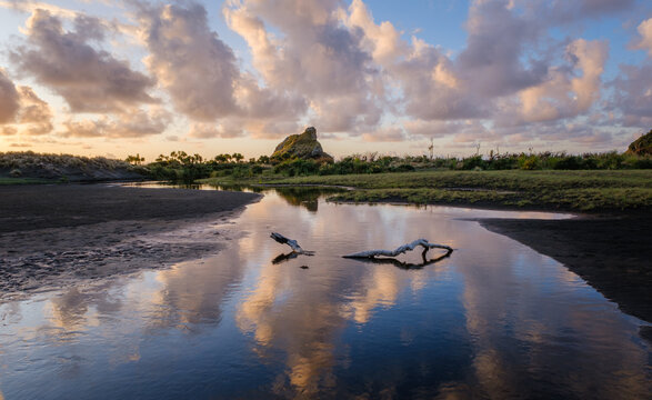 รูปภาพWhatipu – เลือกดูภาพถ่ายสต็อก เวกเตอร์ และวิดีโอ439 | Adobe Stock