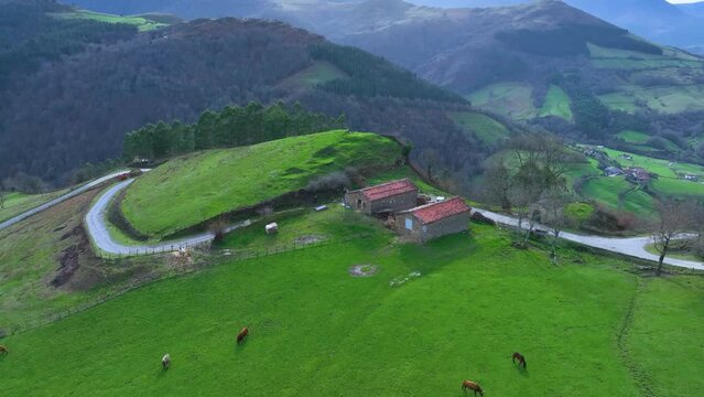 Pando Images – Browse 361 Stock Photos, Vectors, and Video | Adobe Stock