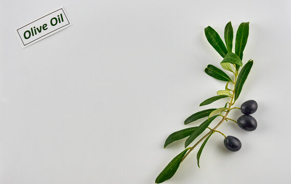 "Olive - Fruit" bilder – Bläddra bland 1,604 stockfoton, vektorer och ...