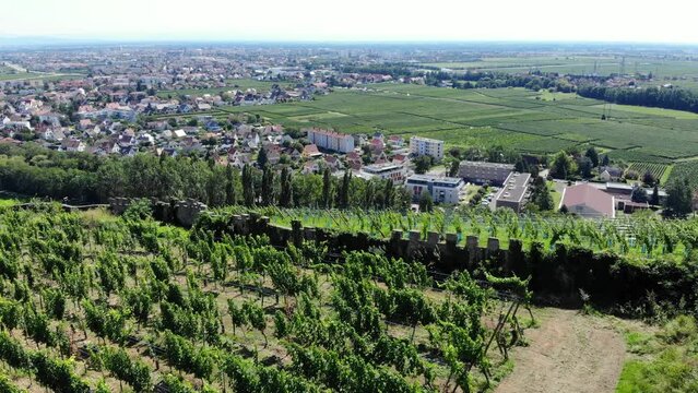 Crenelated Images – Browse 3,672 Stock Photos, Vectors, and Video ...