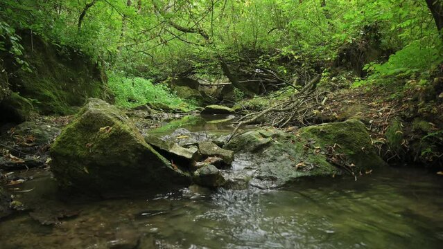 Springwater Bilder – Durchsuchen 387 Archivfotos, Vektorgrafiken und ...