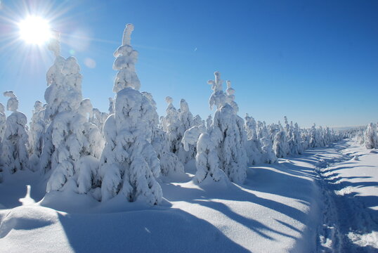 Lodu Images – Parcourir 24,470 le catalogue de photos, vecteurs et ...