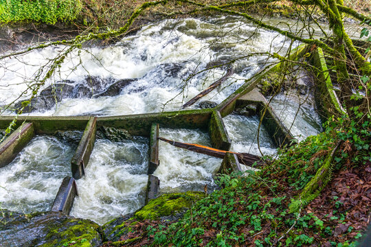 "Fish Ladders" Images – Browse 2,497 Stock Photos, Vectors, and Video ...