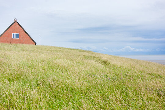 Warft Bilder – Durchsuchen 824 Archivfotos, Vektorgrafiken und Videos ...