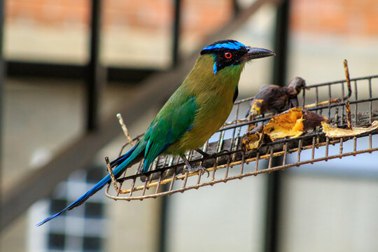 Barranquero Images – Browse 206 Stock Photos, Vectors, and Video ...