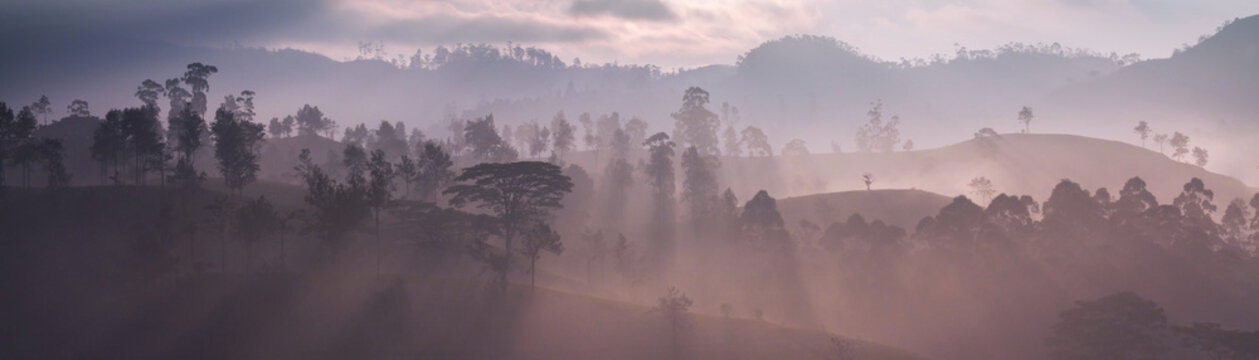 Galyna Andrushko : photos, images, fichiers | Adobe Stock