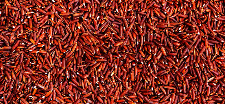 Citrinine Bilder – Durchsuchen 33 Archivfotos, Vektorgrafiken und ...