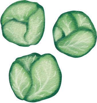 「Bussel」の写真素材 | 22件の無料イラスト画像 | Adobe Stock