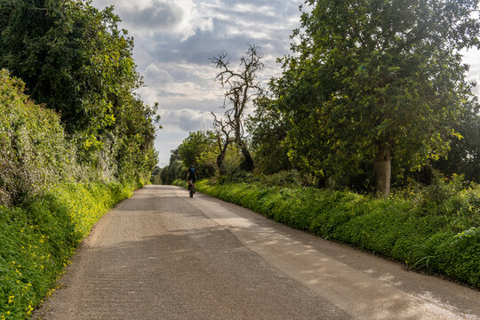 Marg Bilder – Durchsuchen 763 Archivfotos, Vektorgrafiken und Videos ...