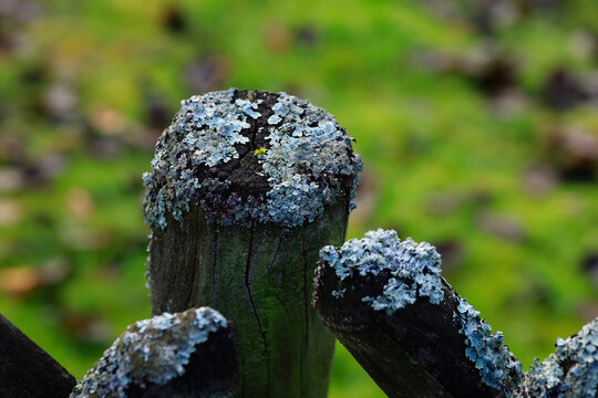 Soit Images – Parcourir 1,751,856 le catalogue de photos, vecteurs et ...