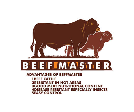 รูปภาพBeefmaster – เลือกดูภาพถ่ายสต็อก เวกเตอร์ และวิดีโอ244 | Adobe Stock