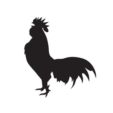 Crowing Rooster Silhouette
