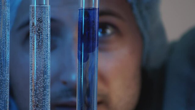 Imágenes de Dissimilar: descubre bancos de fotos, ilustraciones ...