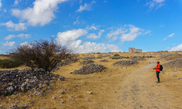 Mingy Bilder – Durchsuchen 3,143 Archivfotos, Vektorgrafiken und Videos ...