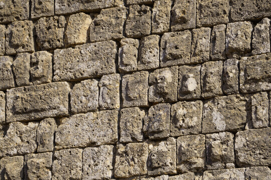 Mingy Bilder – Durchsuchen 3,143 Archivfotos, Vektorgrafiken und Videos ...