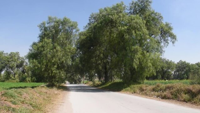 "Paisaje Rural" Images – Browse 3,174 Stock Photos, Vectors, and Video ...