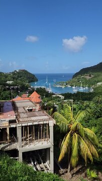 Marigot Images – Browse 2,340 Stock Photos, Vectors, and Video | Adobe ...