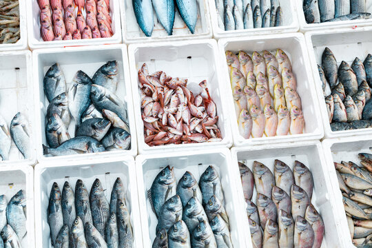 Marktposition Bilder – Durchsuchen 153,361 Archivfotos, Vektorgrafiken ...