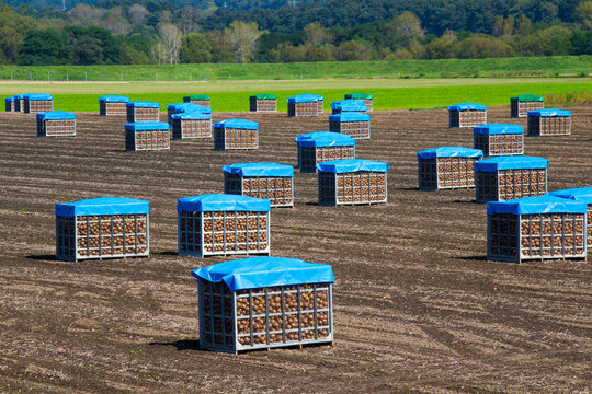 Logistics~Fields Bilder – Durchsuchen 11,974 Archivfotos ...