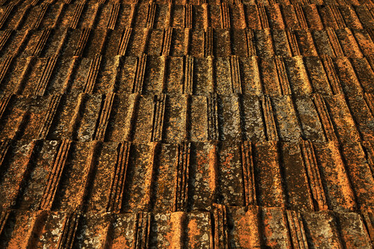 รูปภาพPantile – เลือกดูภาพถ่ายสต็อก เวกเตอร์ และวิดีโอ1,267 | Adobe Stock