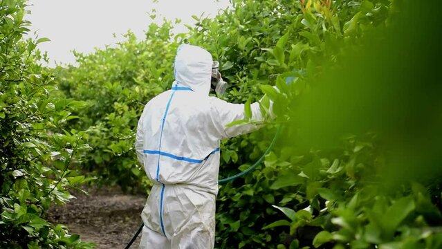 Fumigation Imagens – Procure 10,825 fotos, vetores e vídeos | Adobe Stock