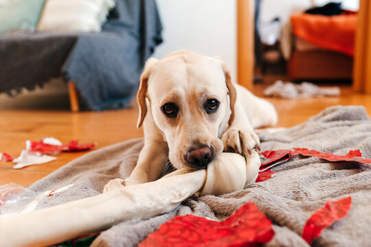 Mess Images – Browse 5,346,810 Stock Photos, Vectors, and Video | Adobe ...