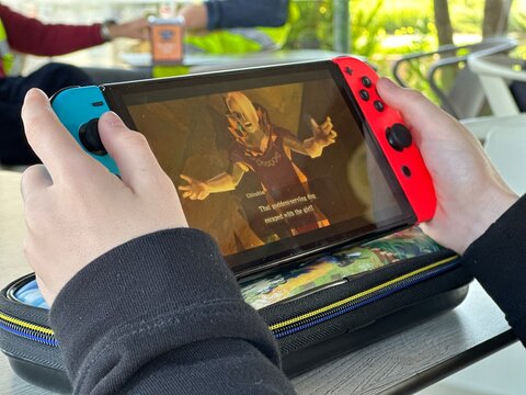 "Nintendo Switch" Images – Browse 1,024 Stock Photos, Vectors, and ...