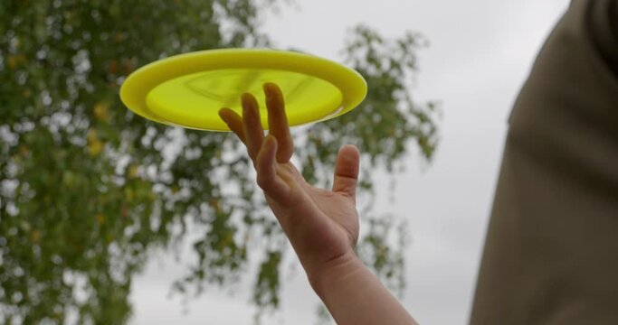「Discgolf」の写真素材 | 5,921件の無料イラスト画像 | Adobe Stock